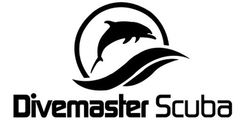 Master Diver Logo